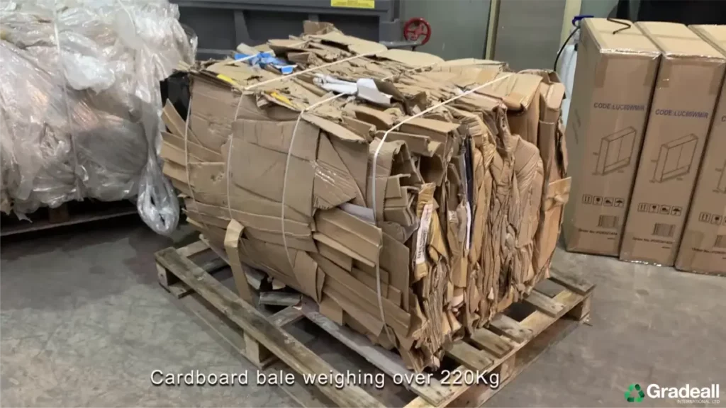 Paper & Cardboard Recycling Statistics: Comprehensive Guide